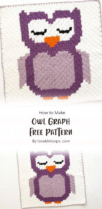 Easy Crochet Owl Blanket Free Pattern Ideas - Carolinamontoni.com