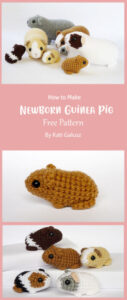 Ultimate Guide to Free Amigurumi Guinea Pig Crochet Patterns: Get ...