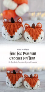 Cute Fox Pumpkin Free Crochet Pattern Ideas - Carolinamontoni.com