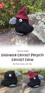 4 Amigurumi Bird Crow Free Crochet Pattern Ideas - Carolinamontoni.com