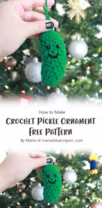 Easy Crochet Pickle Free Pattern Ideas - Carolinamontoni.com