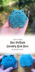 No Sew Frog Free Crochet Pattern & Tutorial Ideas: Fun & Easy Crafts for Everyone ...