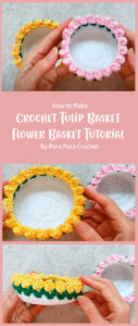 3 Flower Basket Free Crochet Pattern & Tutorial Ideas - Carolinamontoni.com