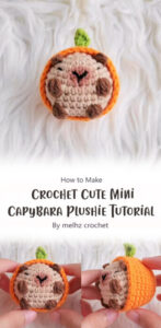 5 Amigurumi Capybara Free Crochet Pattern & Tutorial Ideas ...