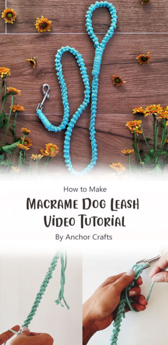 Stylish & Strong: DIY Macrame Dog Leash Free Tutorial Idea for Pet ...