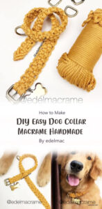 5 DIY Macrame Dog Collar Free Tutorial Ideas - Carolinamontoni.com