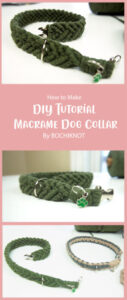 5 DIY Macrame Dog Collar Free Tutorial Ideas - Carolinamontoni.com
