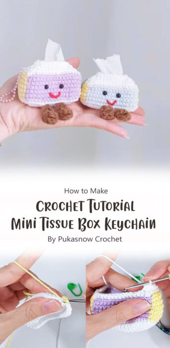 Adorable Mini Tissue Box Keychain Free Crochet Tutorial Ideas ...
